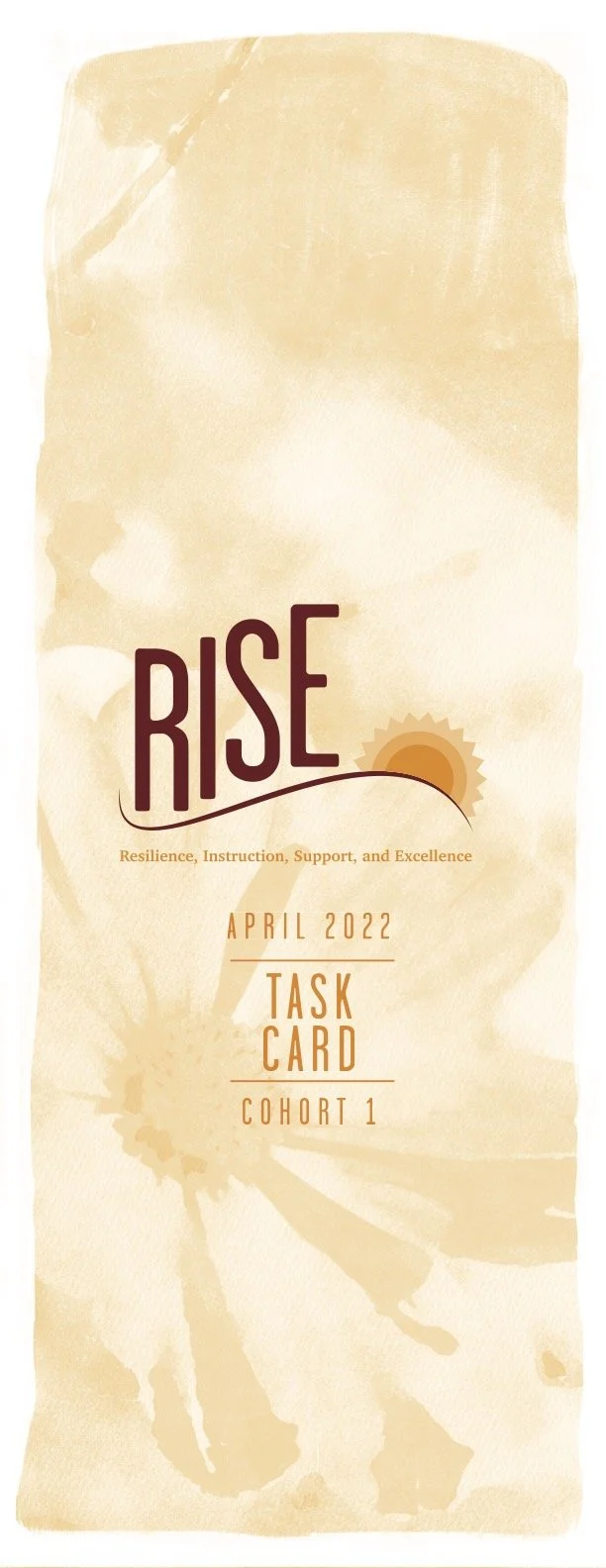 RISE Task Cards — PSB NM Support