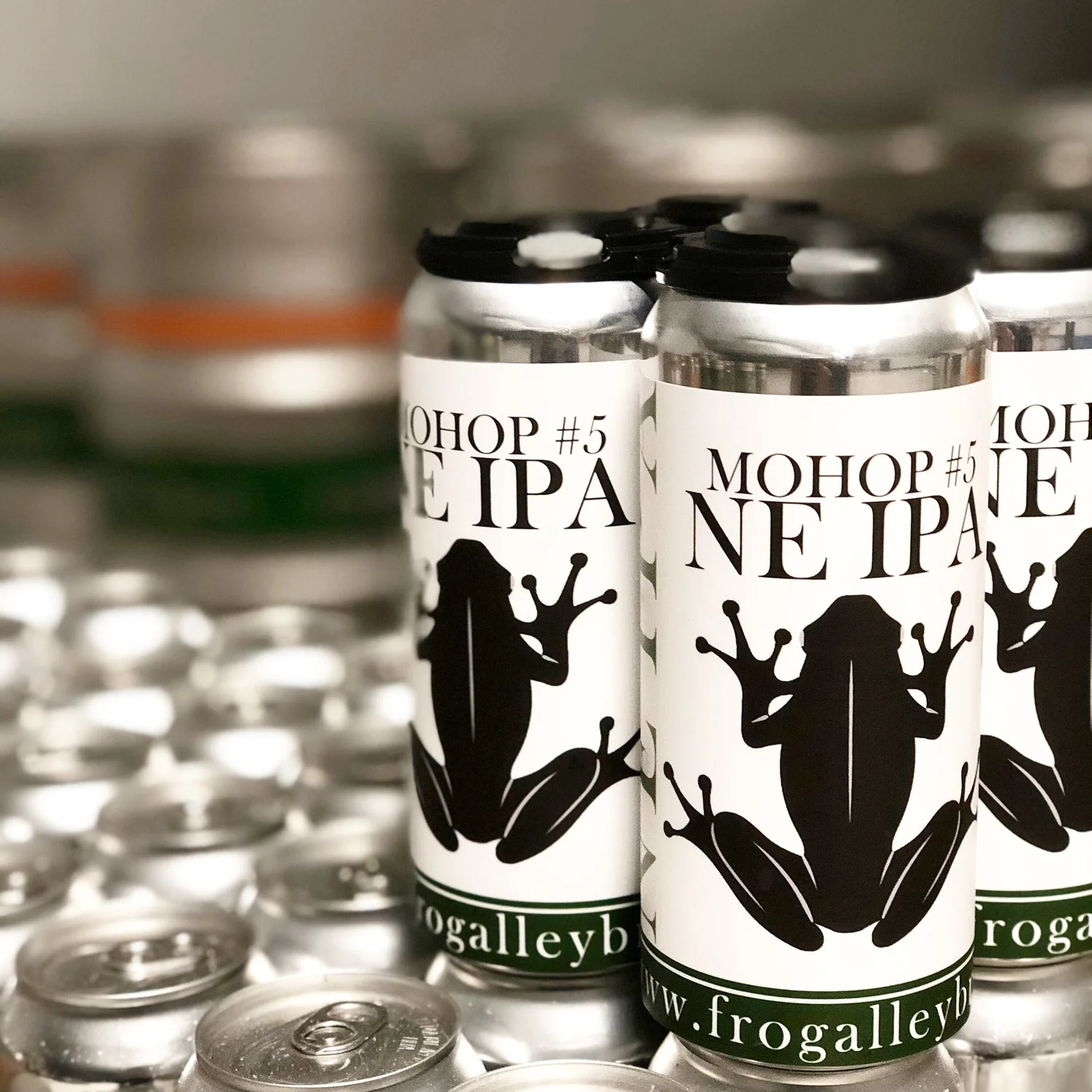 Gallery — Frog Alley Brewing Co.