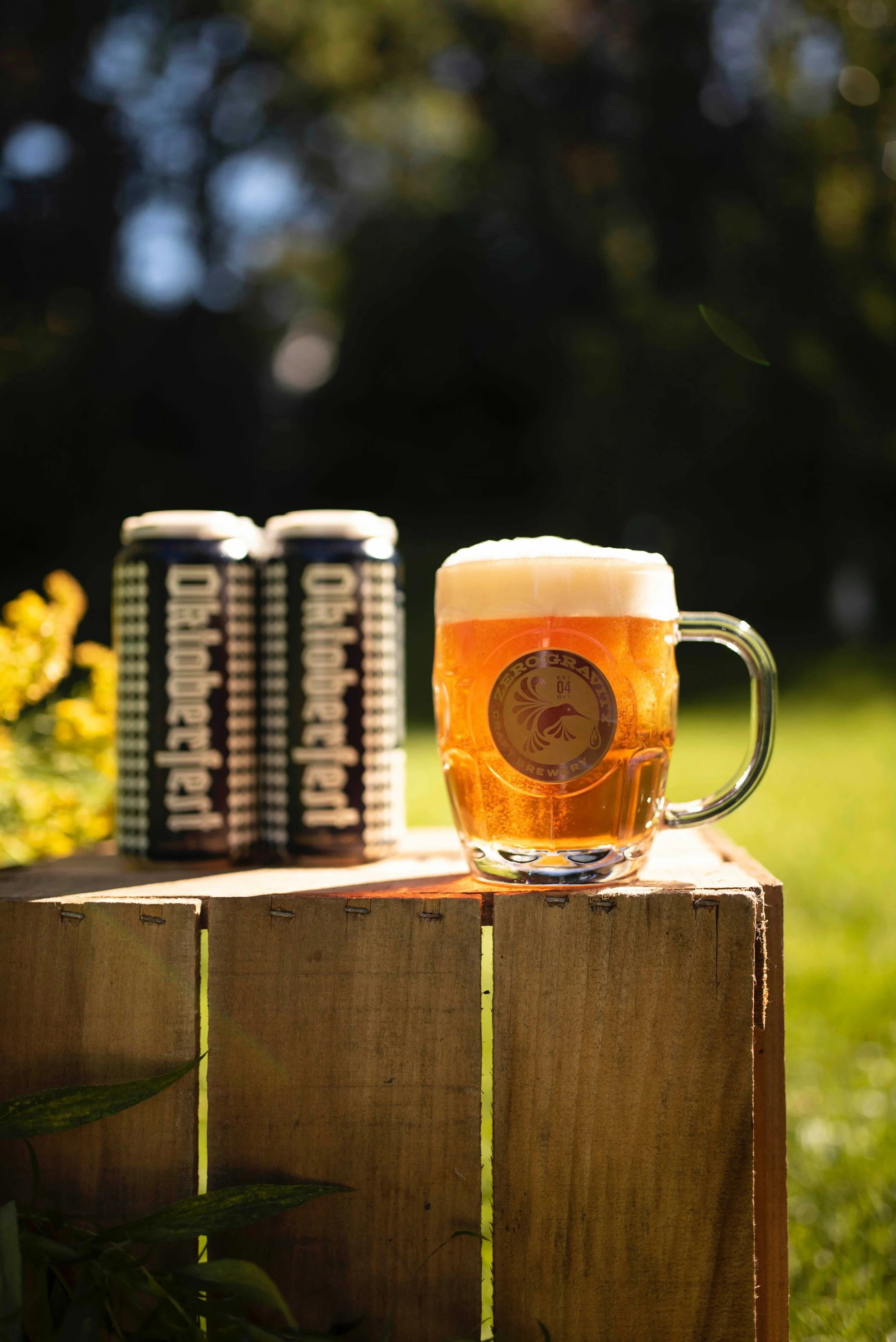 Glassware — Shop — Zero Gravity