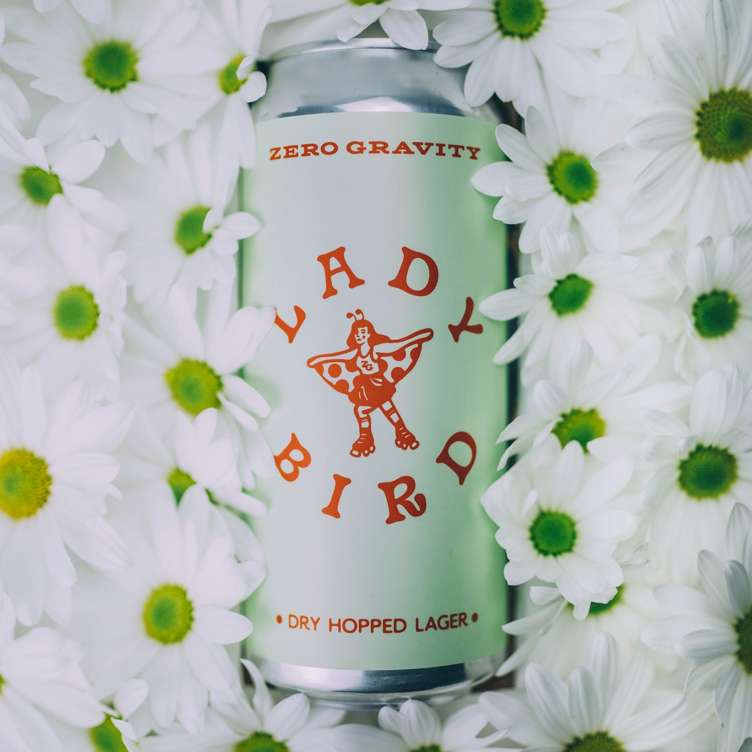 Our Beer — Zero Gravity
