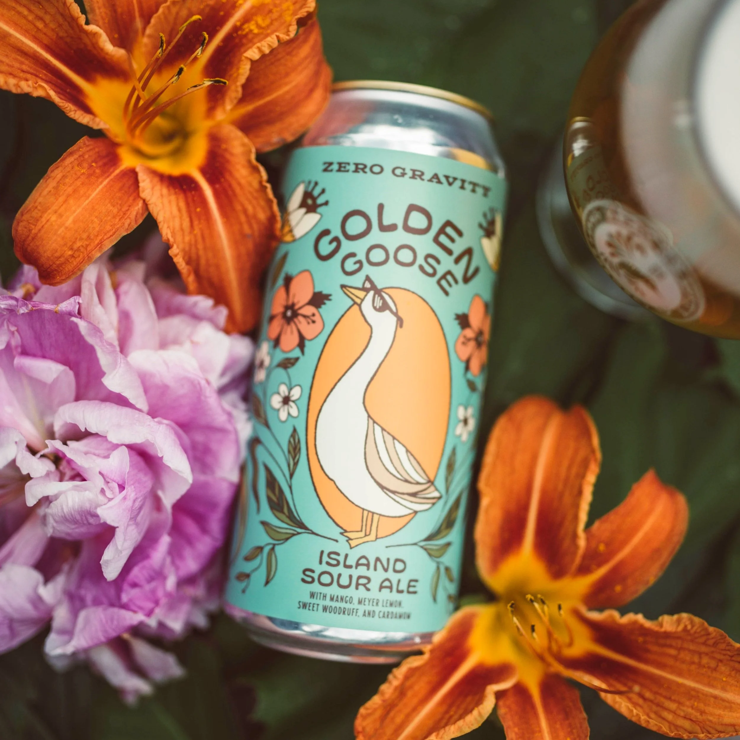 Our Beer — Zero Gravity