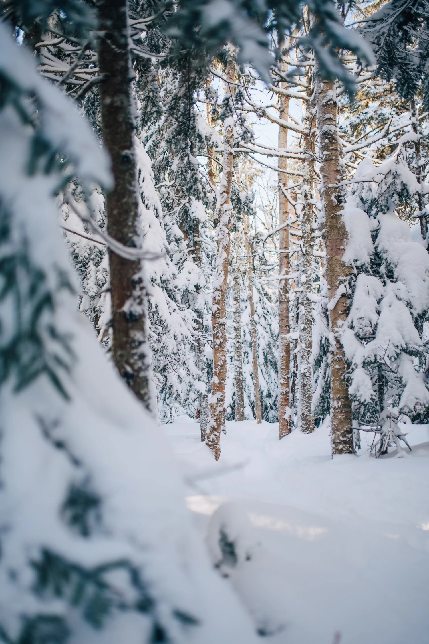 Zero Gravity Craft Brewery