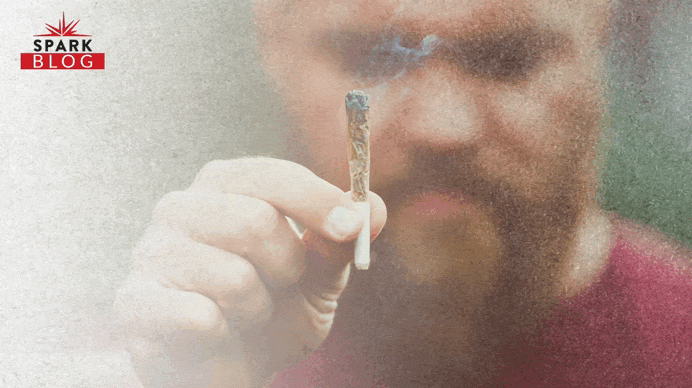 Kush: A New Synthetic Opioid in Jails — Spark Training