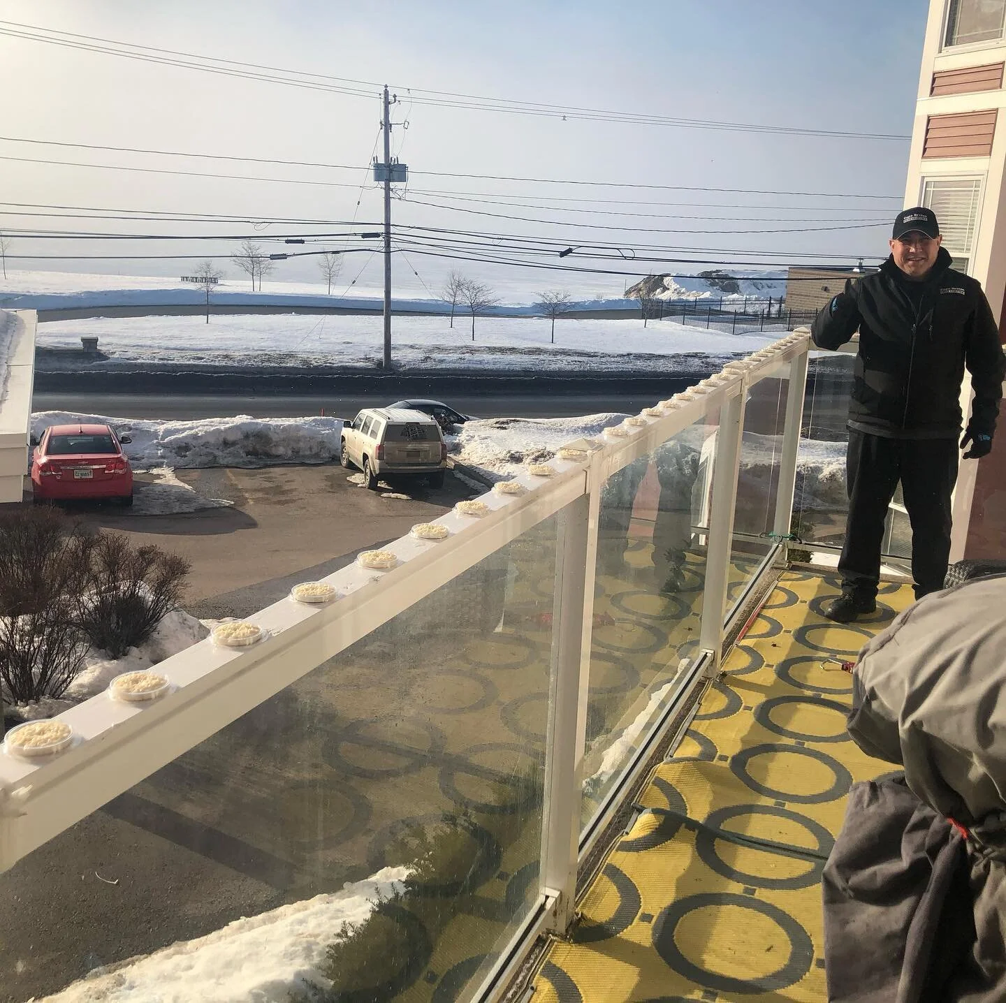 Cape Breton Pest Control