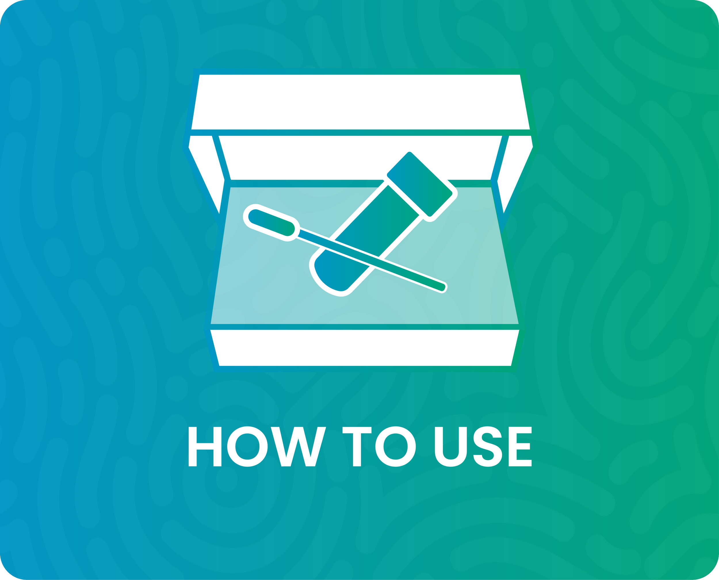 Gut Microbiome Health — BiomeFx