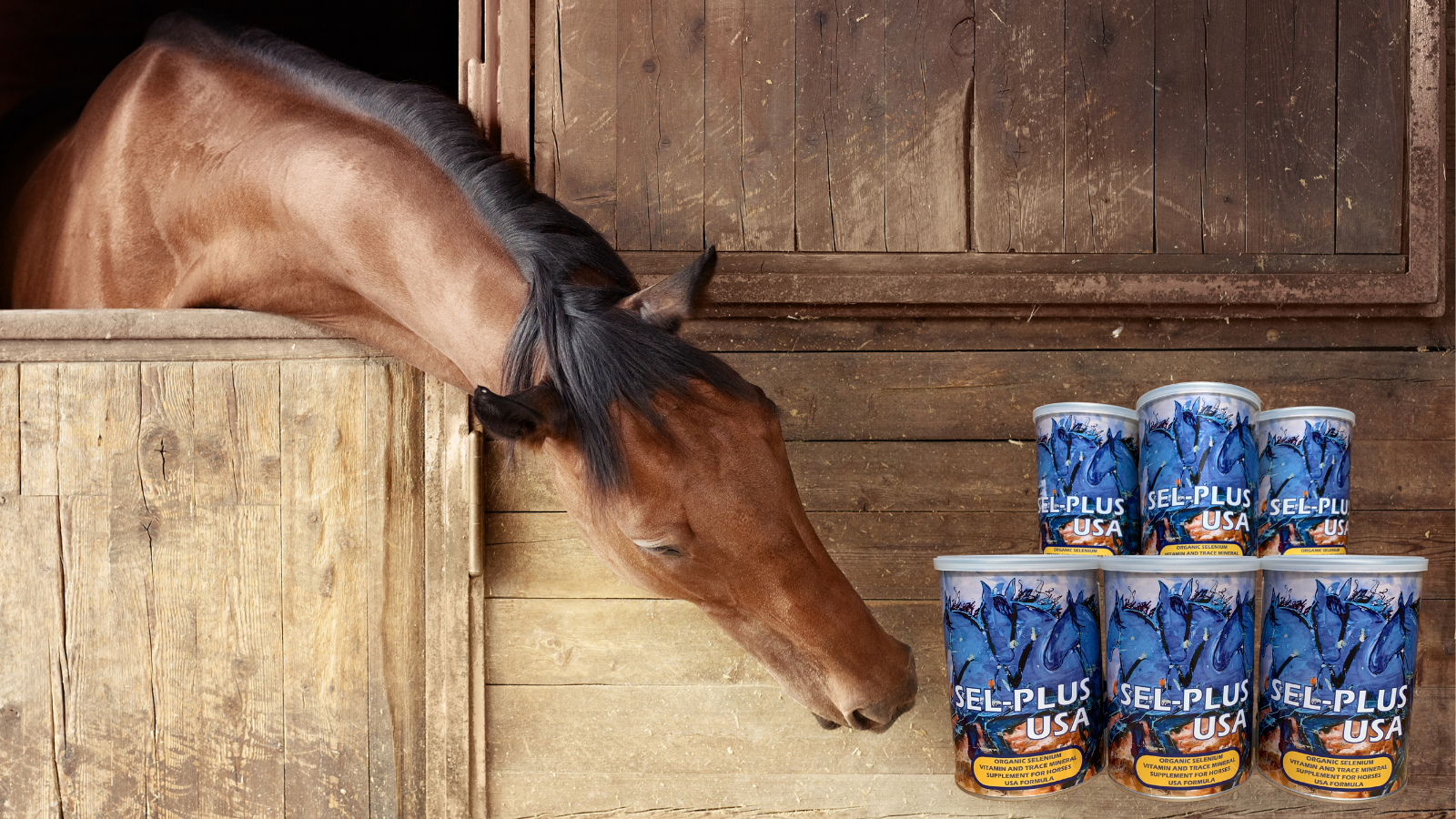 Sel-Plus Organic Equine Feed Supplement — Sel-Plus USA