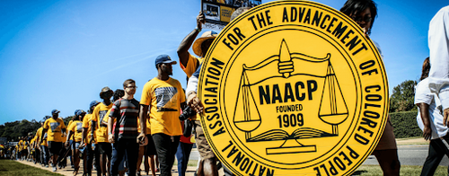 Volunteer — NAACP Detroit Branch