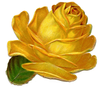 The Secret Language of Flowers — THE POTION SHOPPE