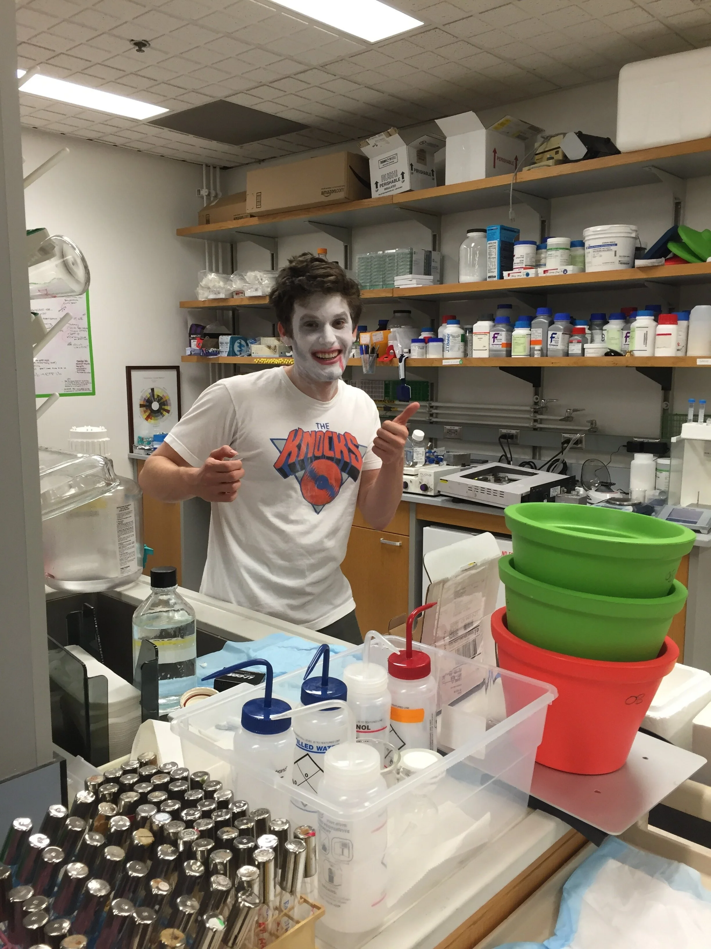 Photobook — Brandman Lab