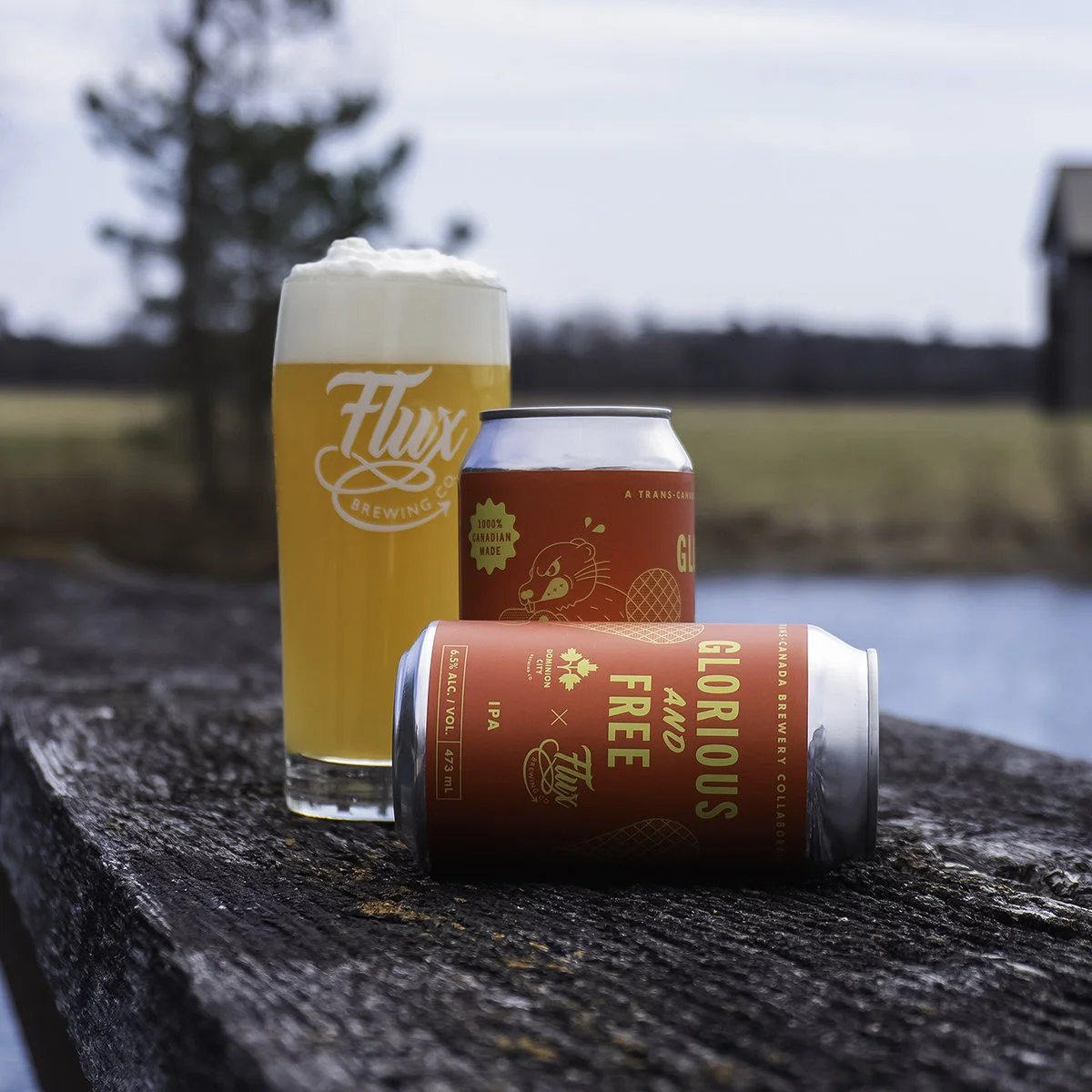 Beer — Flux Brewing Co.