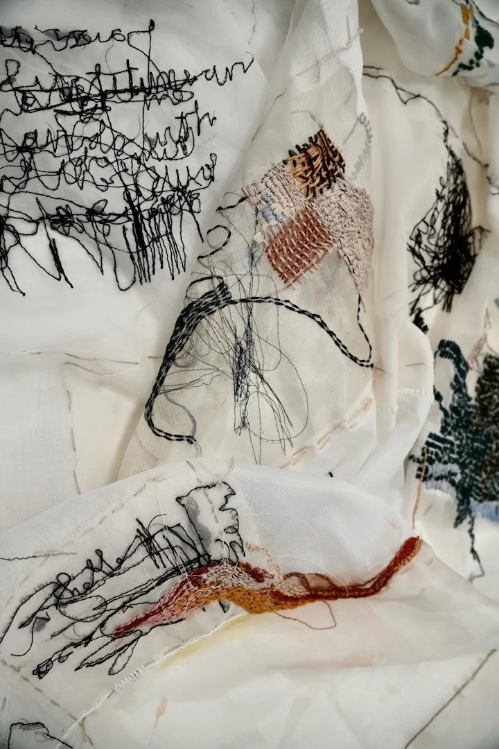 Katie Francis | MSU Denver Art | BFA Thesis