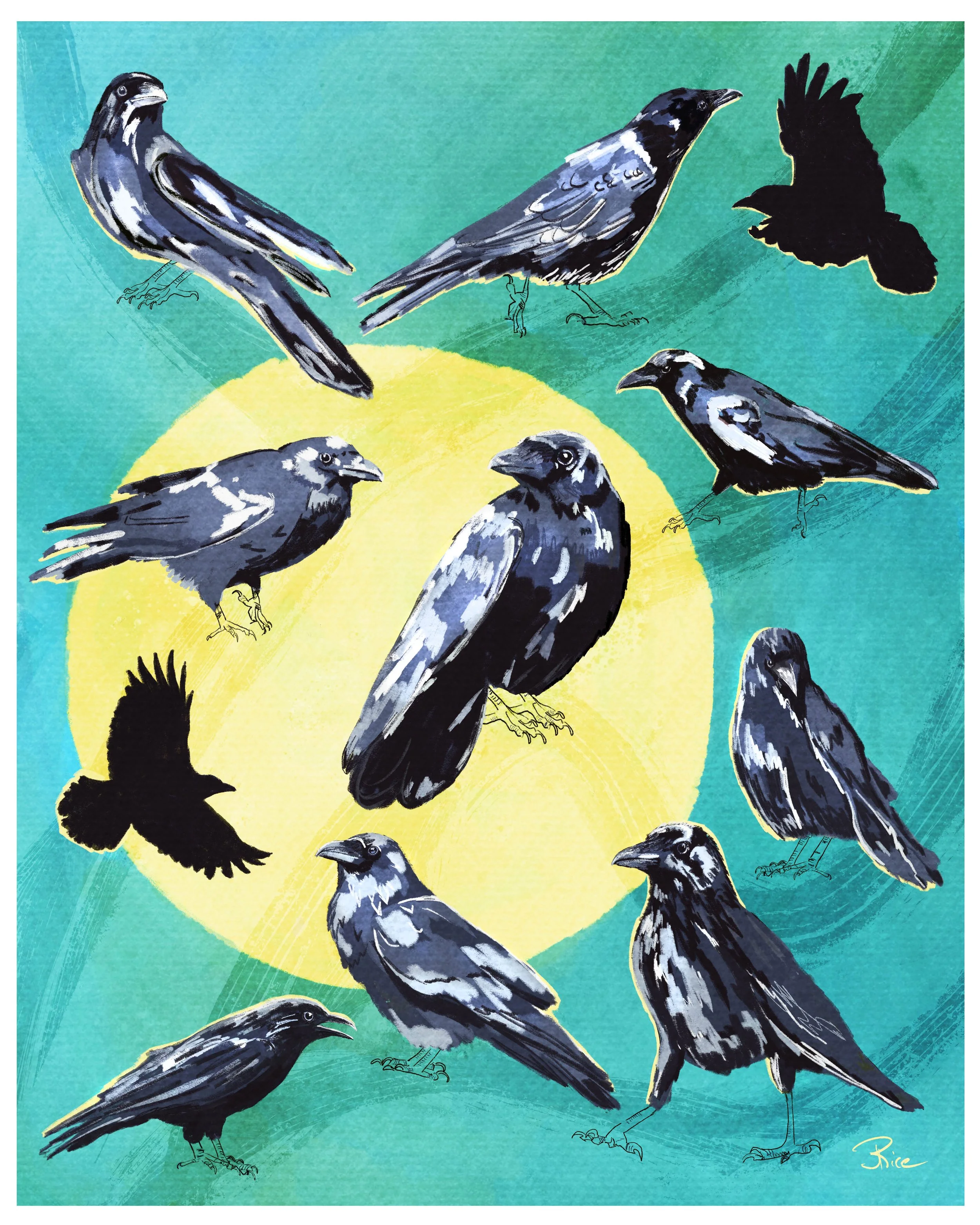 Jennifer Rice Artist and Illustrator