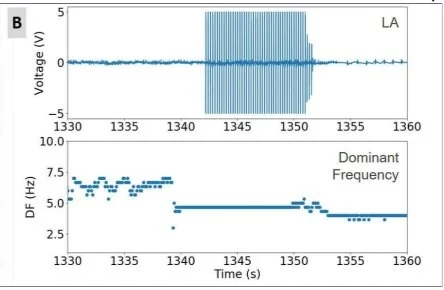 Company Publications — MaxWell Biomedical