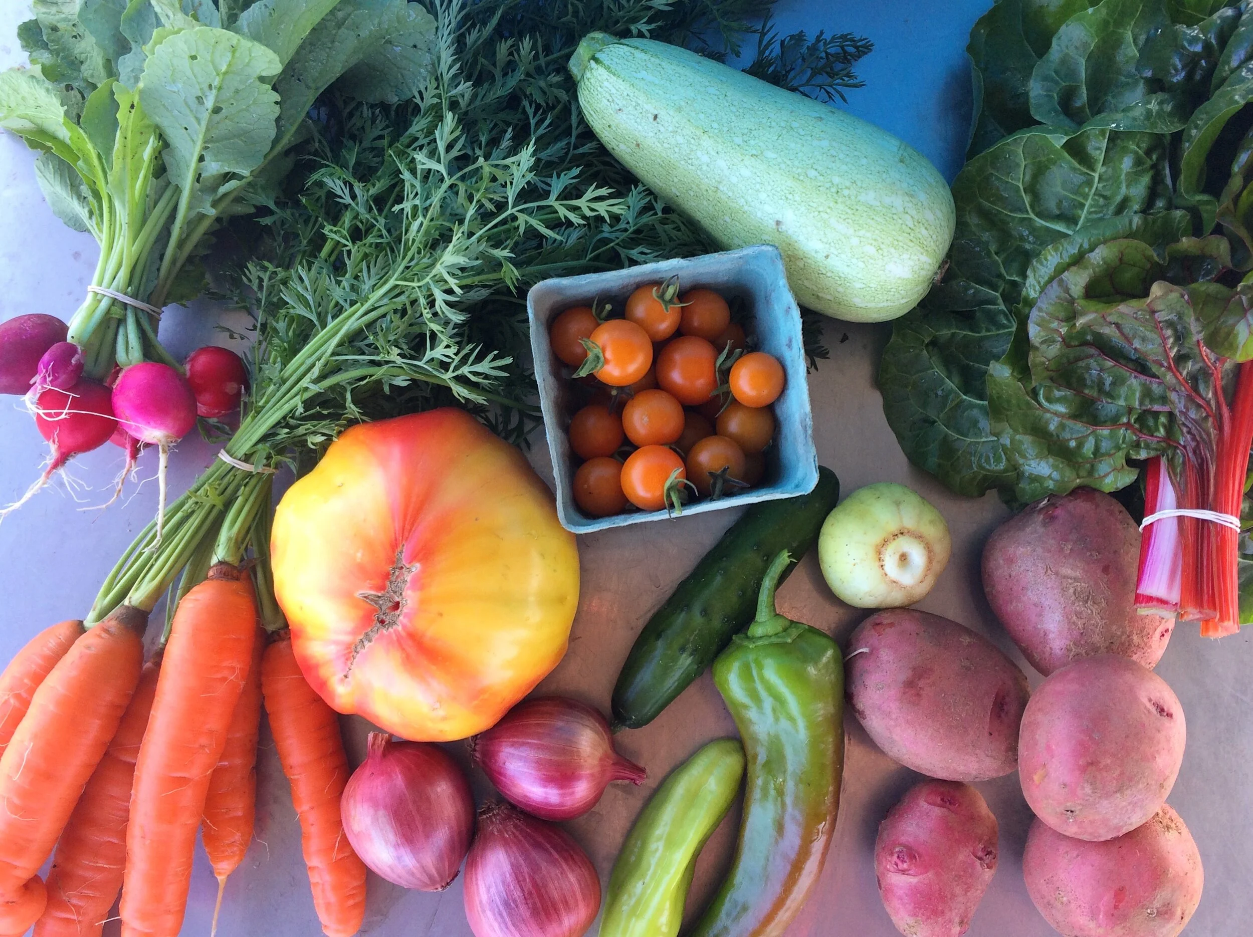 Winter Csa Box