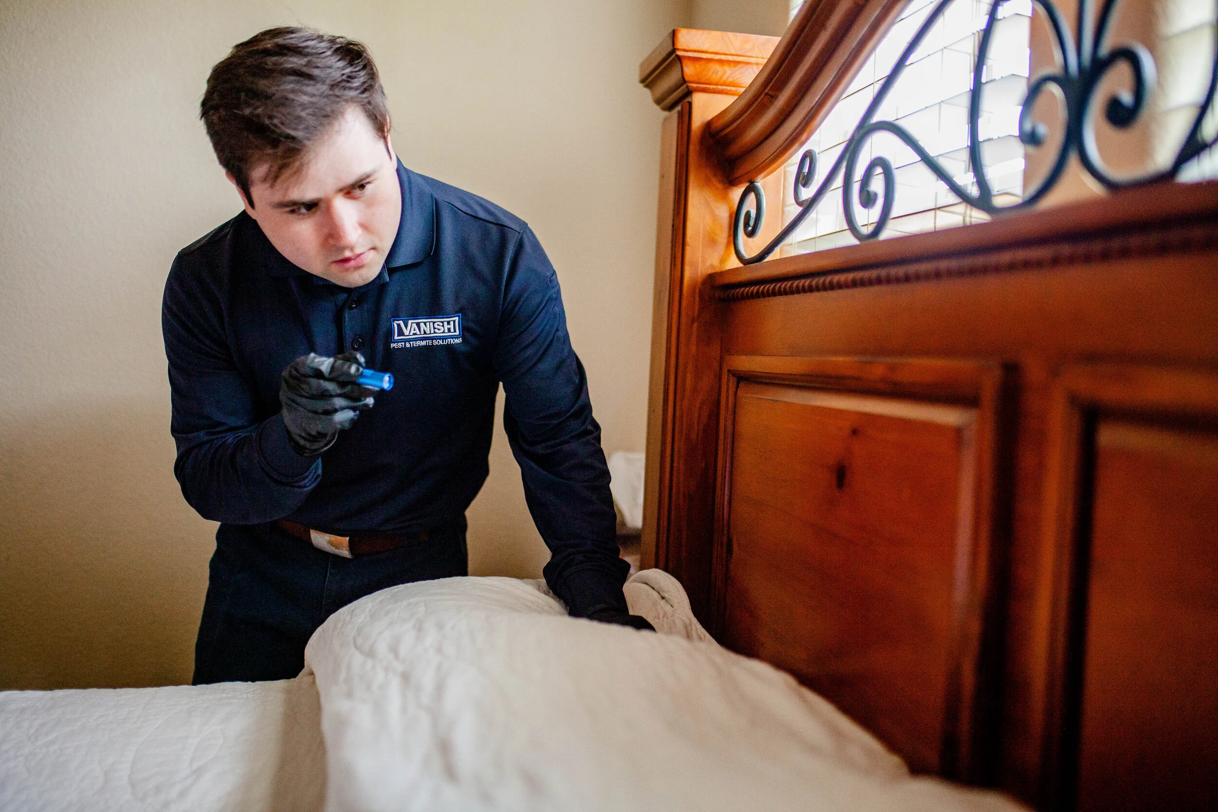 Vanish Solutions PEST CONTROL San Francisco San Jose pest control — VANISH