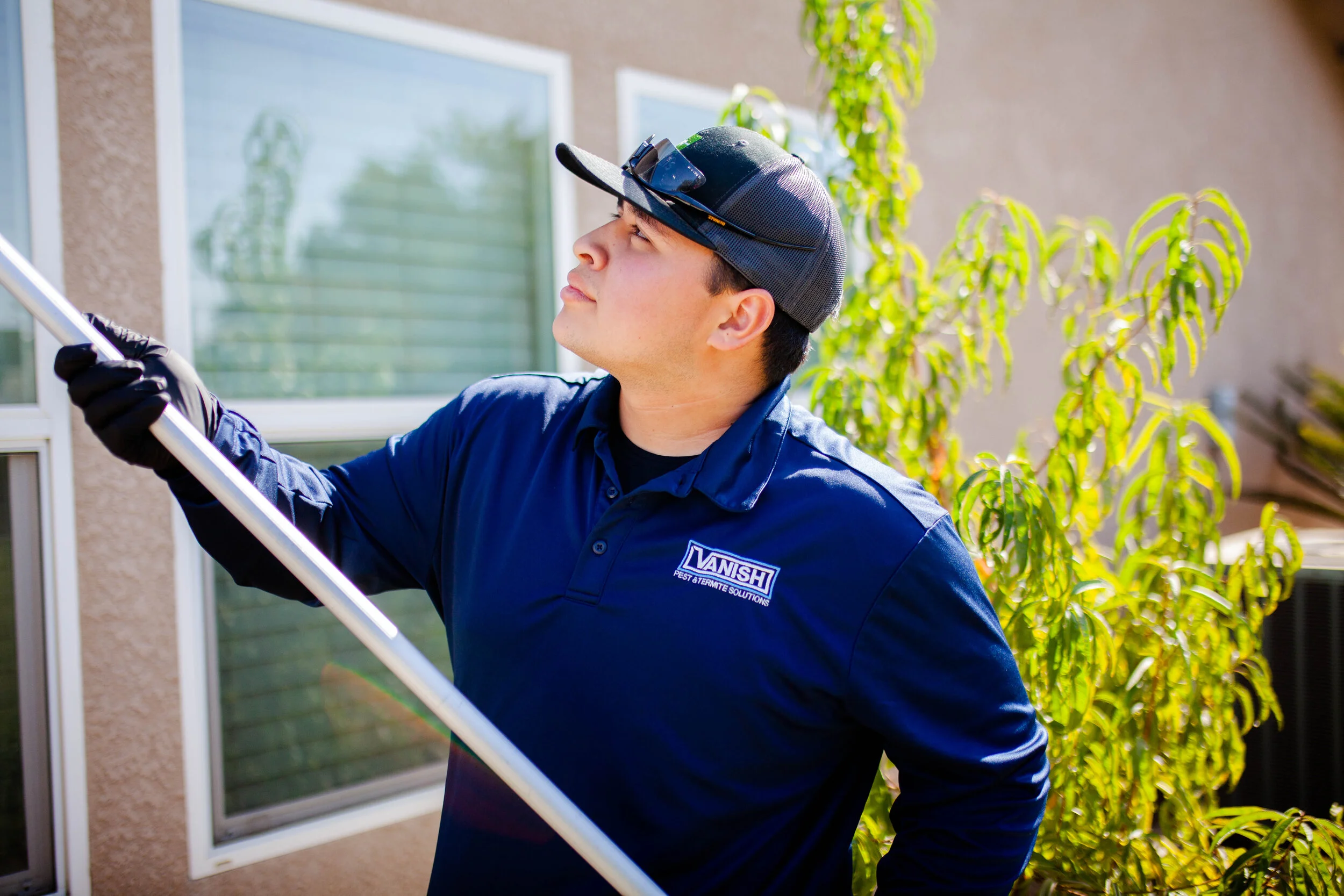 Vanish Solutions PEST CONTROL San Francisco San Jose pest control — VANISH