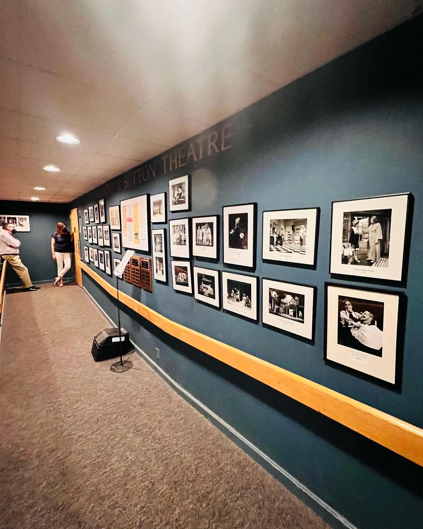 Raleigh Little Theater Illustration — Antonio Alanis Art