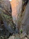 Everything You Need to Know Before Visiting The Narrows at Zion ...