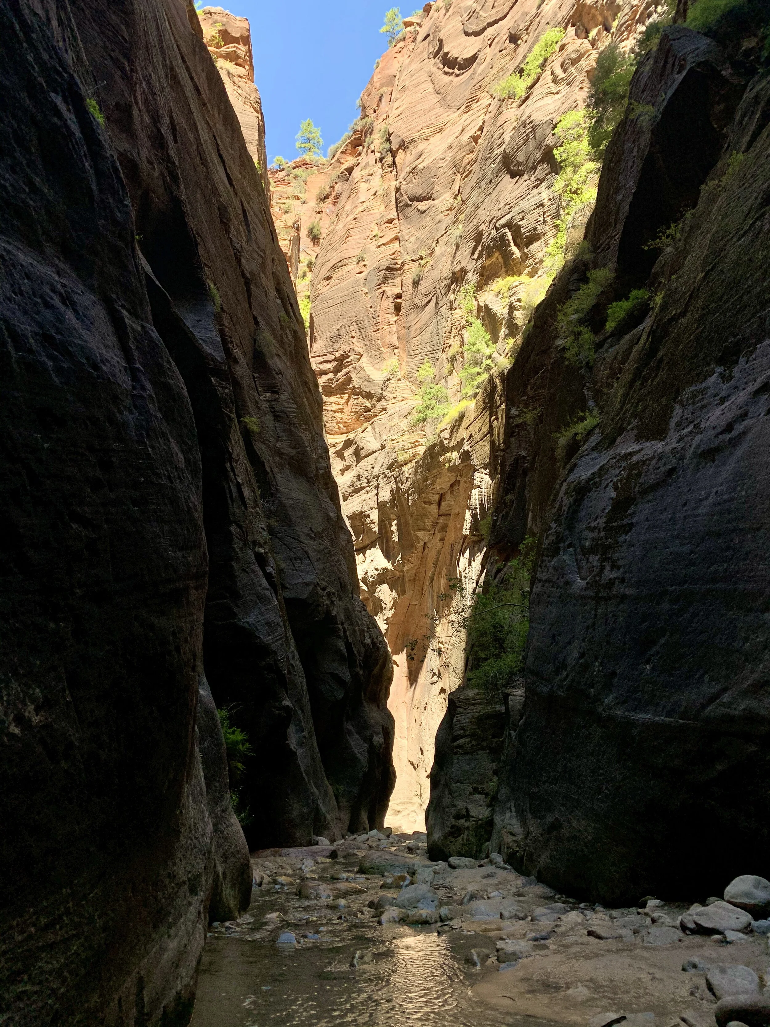 Everything You Need to Know Before Visiting The Narrows at Zion ...