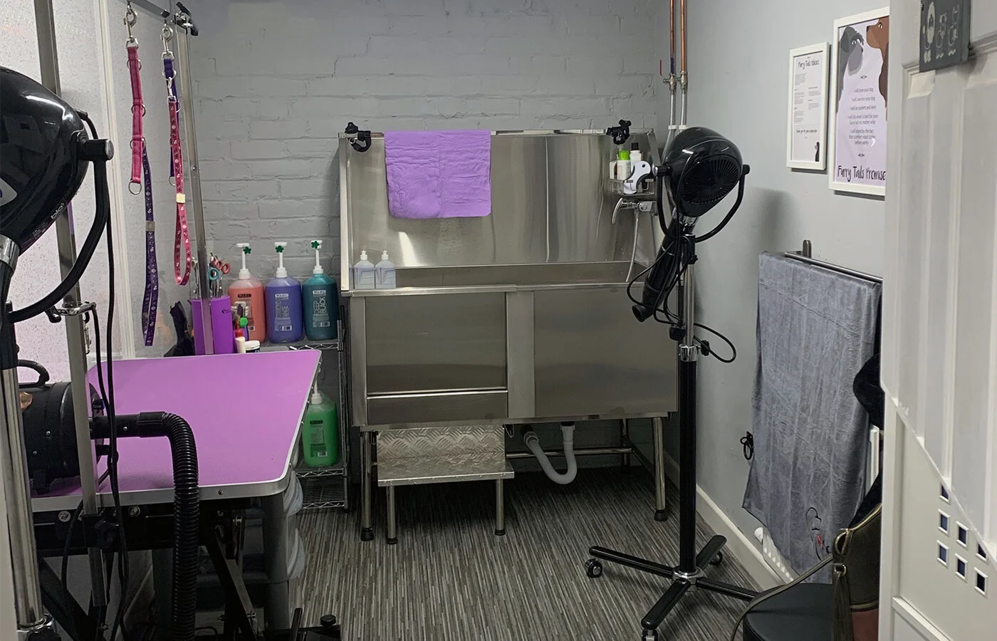 The Hound Lounge — Dog Grooming