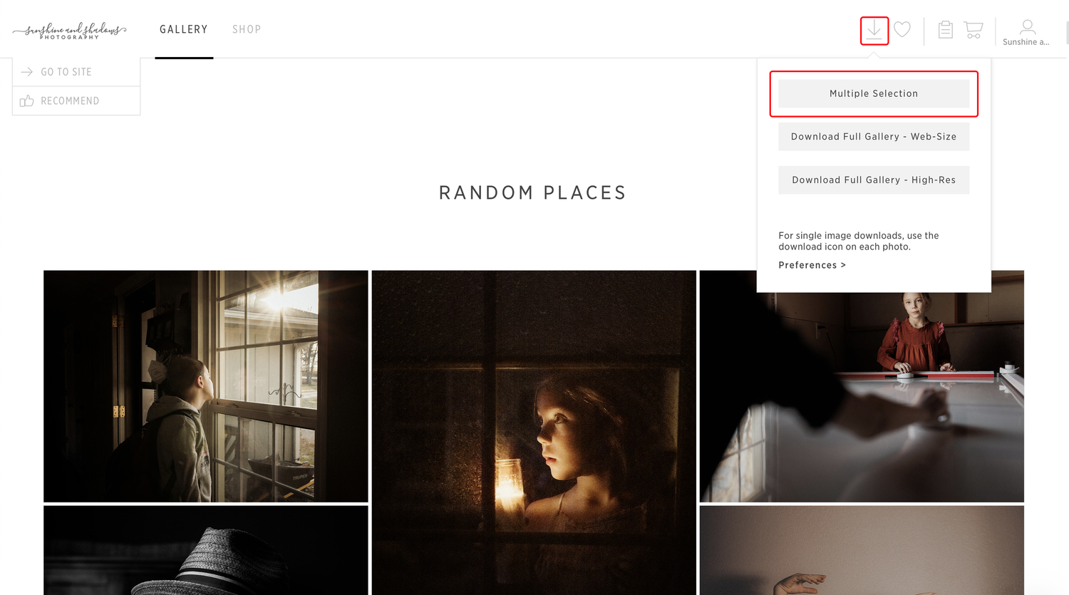 How to Download Photos in Pic-Time — Sunshine and Shadows Photography