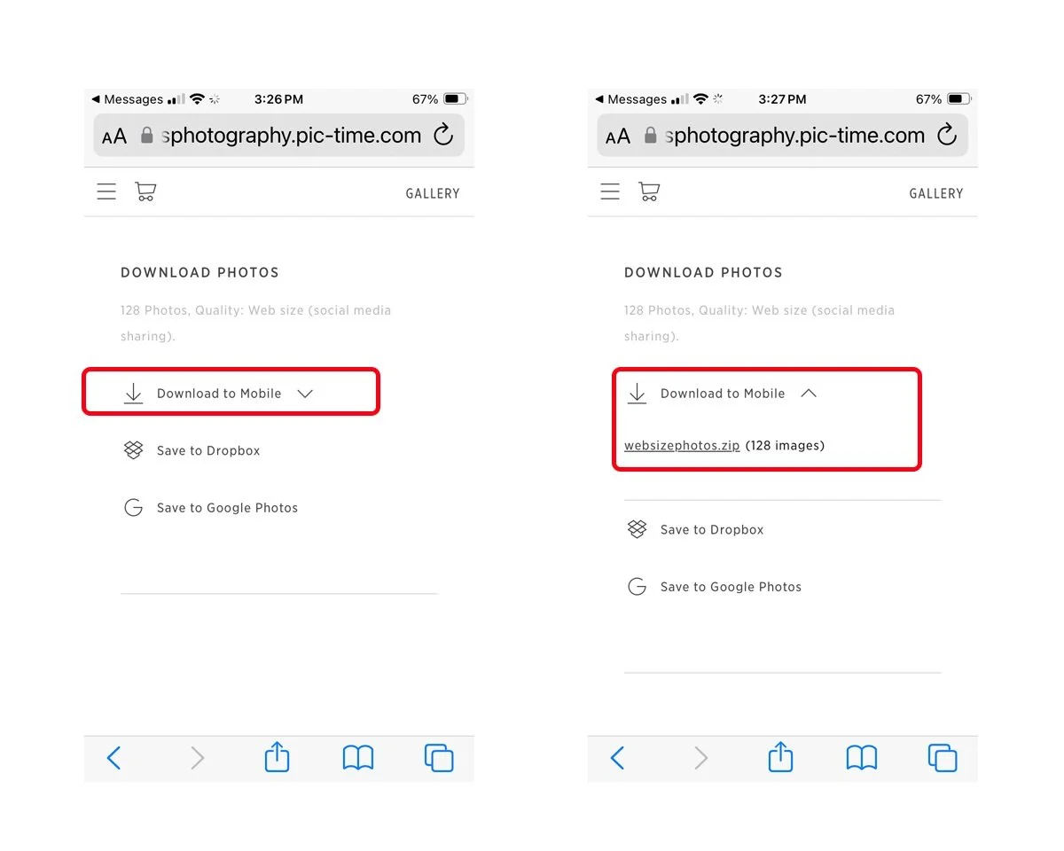 How to Download Photos in Pic-Time — Sunshine and Shadows Photography