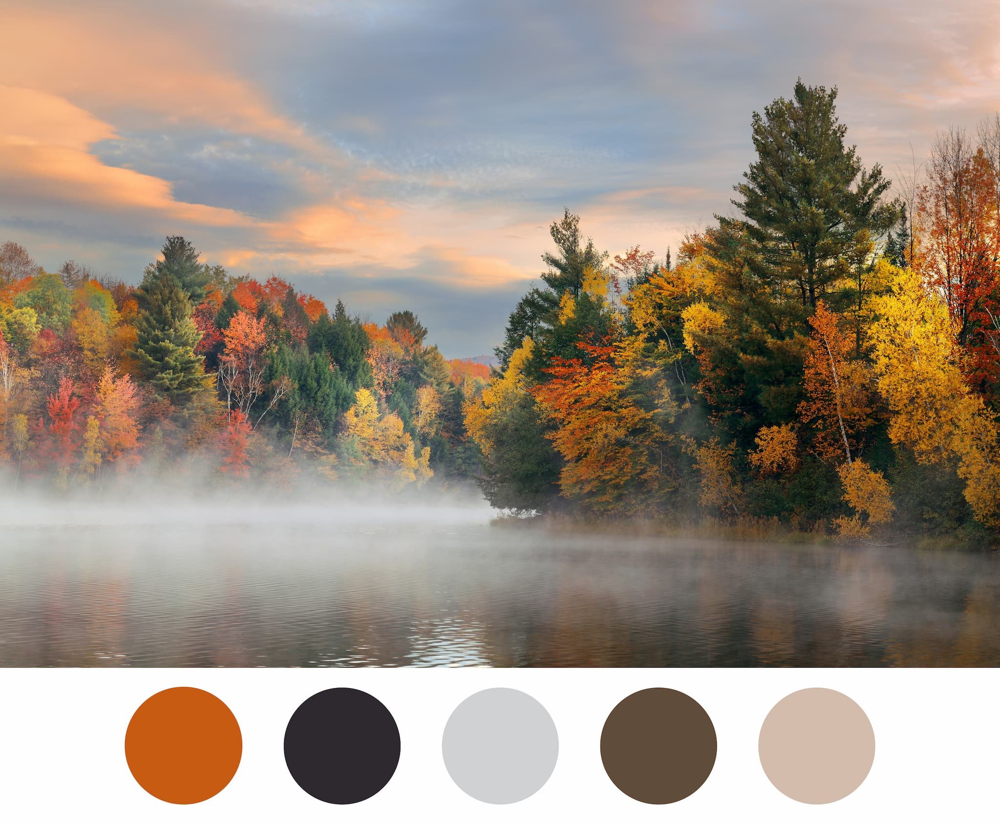 The Perfect Fall Colors for Your Outdoor Family Photos — Sunshine and ...