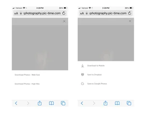 How to Download Photos in Pic-Time — Sunshine and Shadows Photography