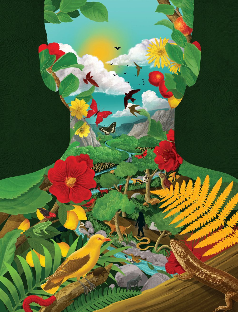 Portfolio — Sam Falconer Illustration