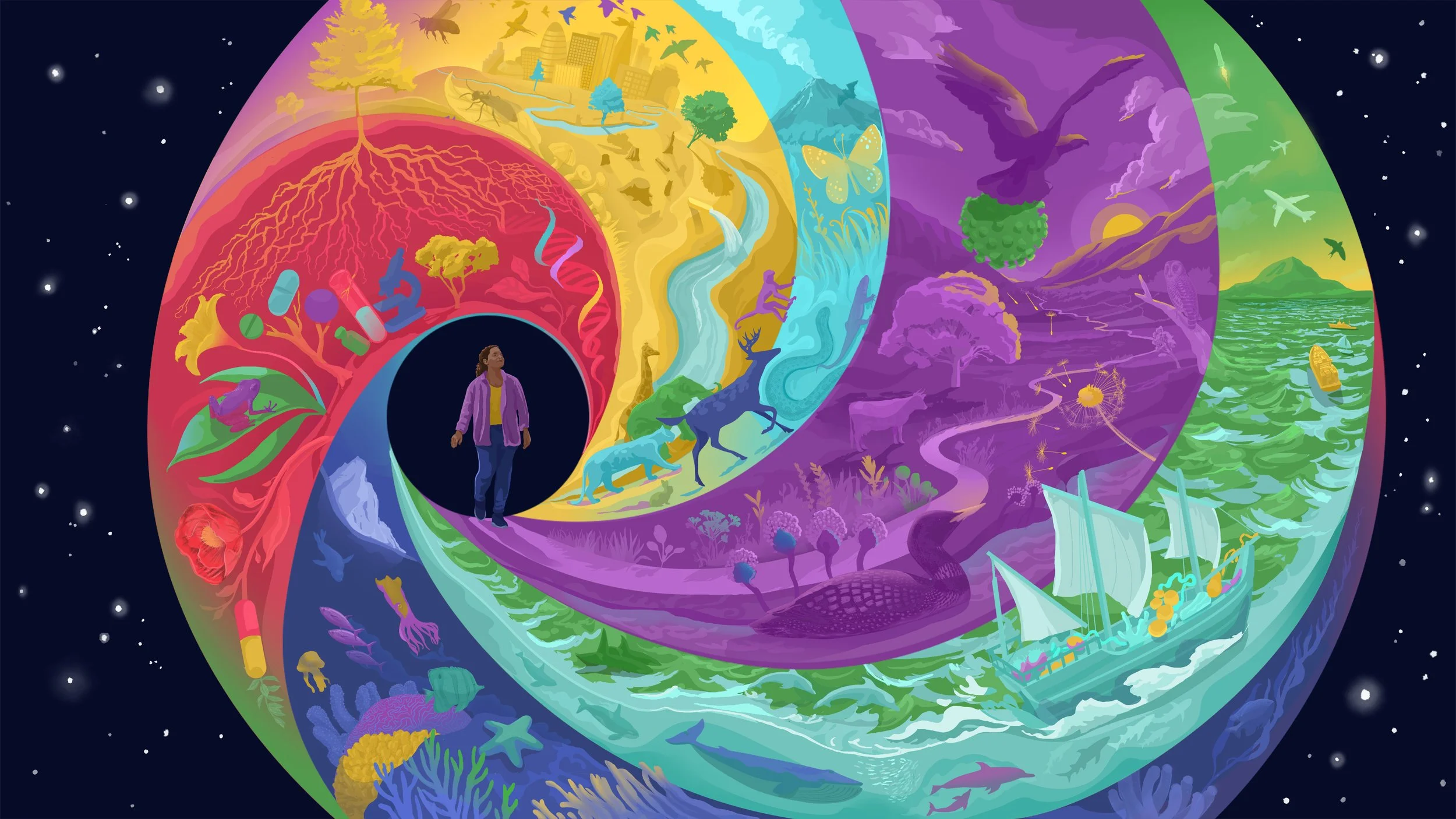 Sam Falconer Illustration