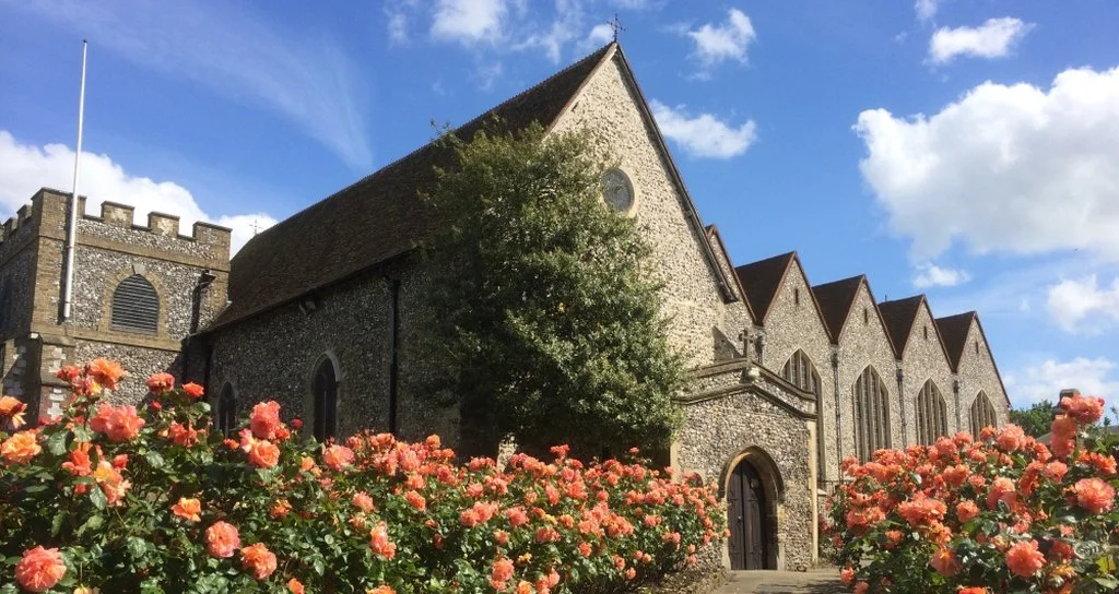 Concerts — Francesca Massey, Musician
