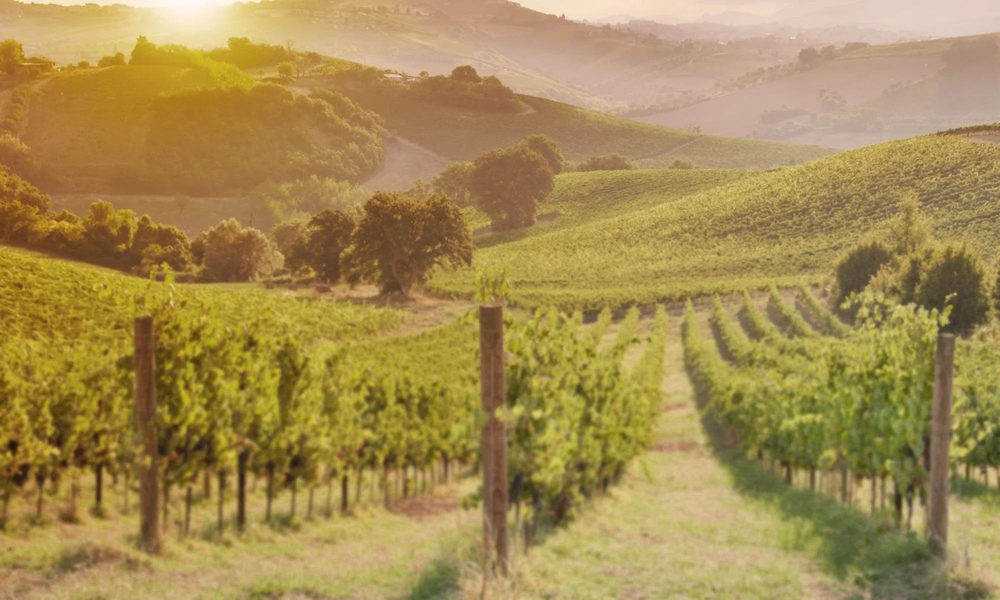 Temecula Relationship with Key Agencies and Stakeholders — Virtual ...