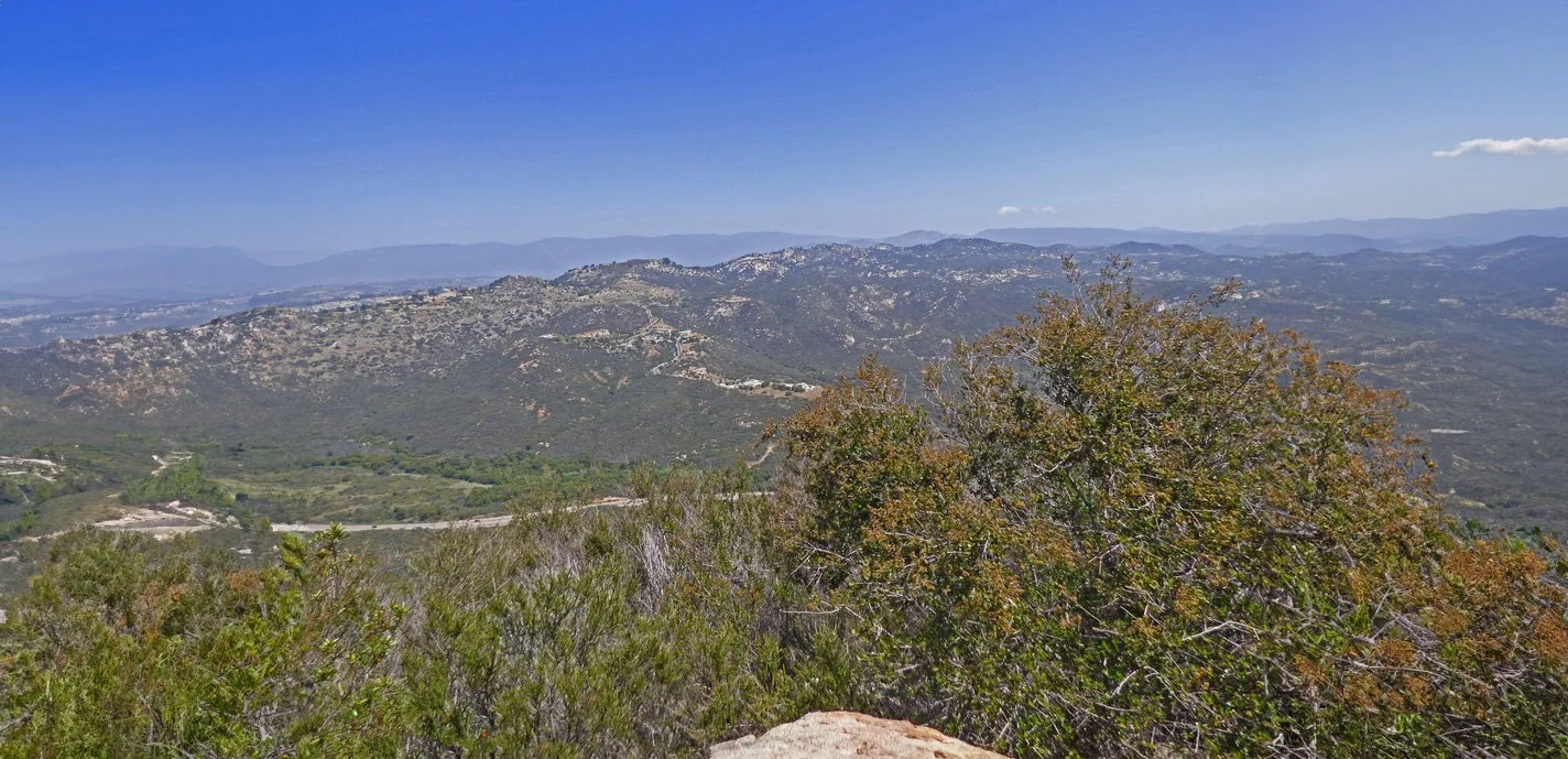Daley-ranch — Virtual Public Engagement