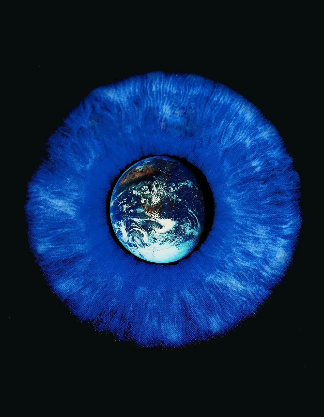 The Compassion Museum