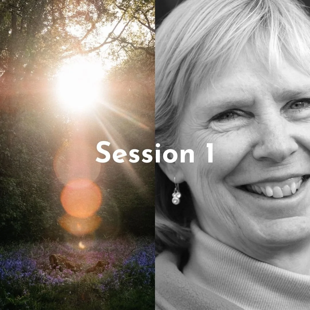 Events — The Compassion Museum