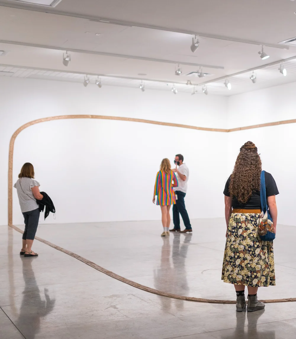 SAAG | MEMBERSHIP INFO — SAAG