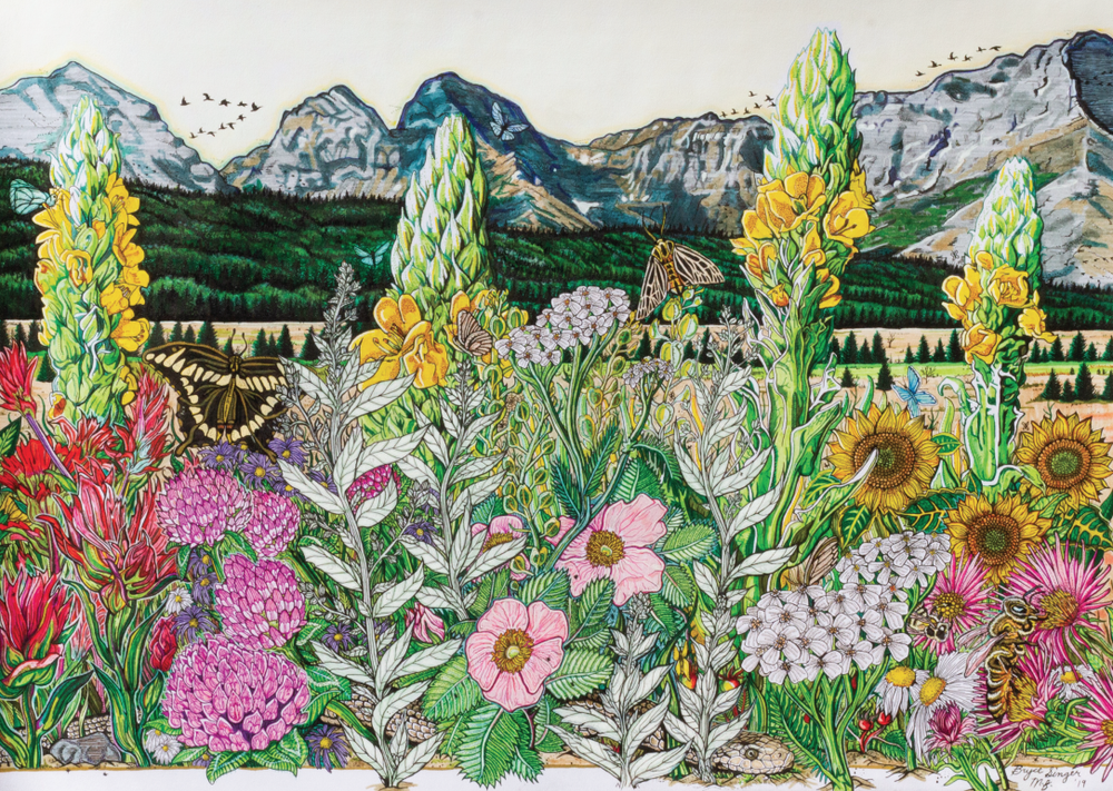 BLACKFOOT NAME — SAAG