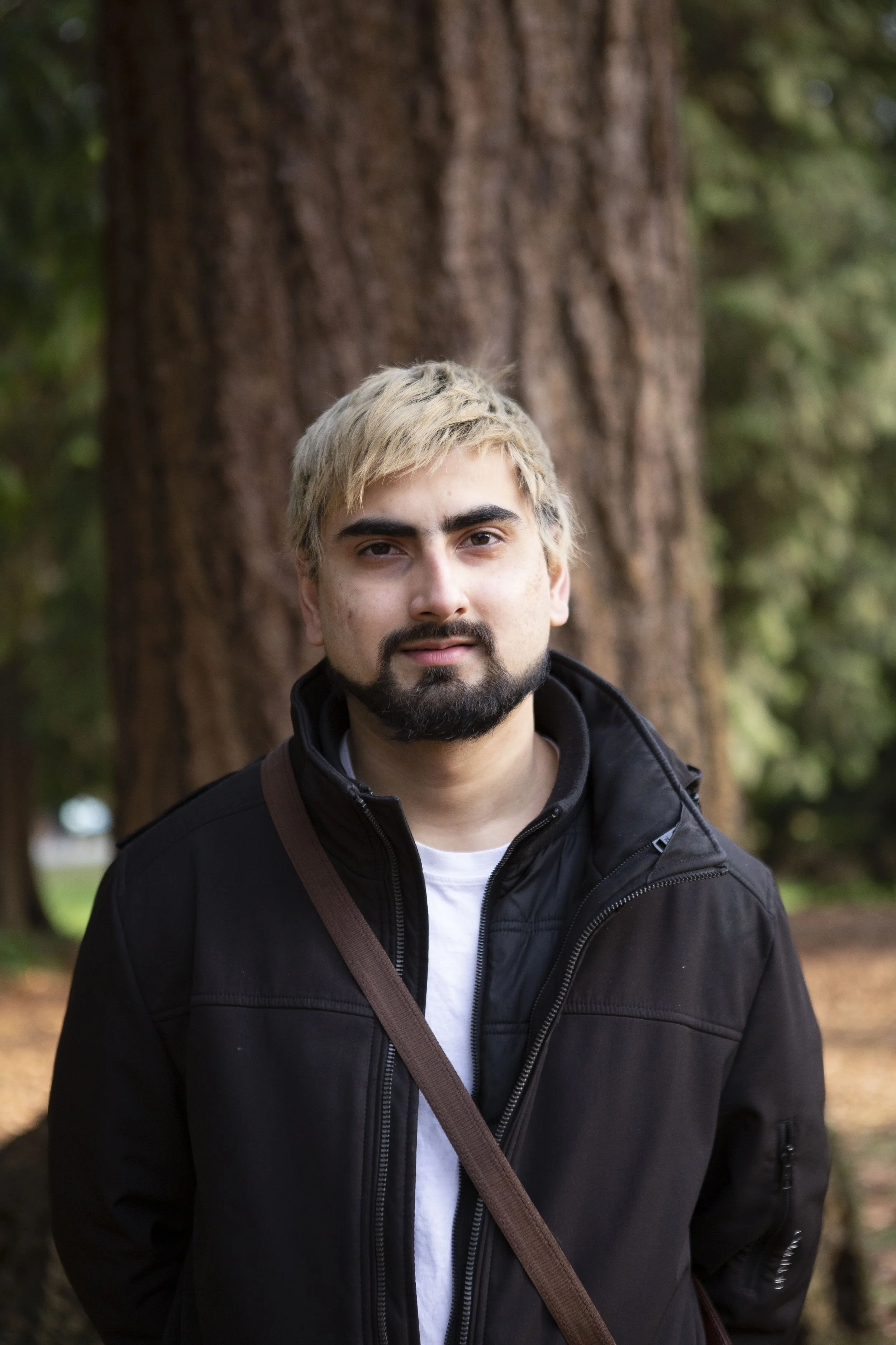 ARTS WRITING PRIZE — SAAG