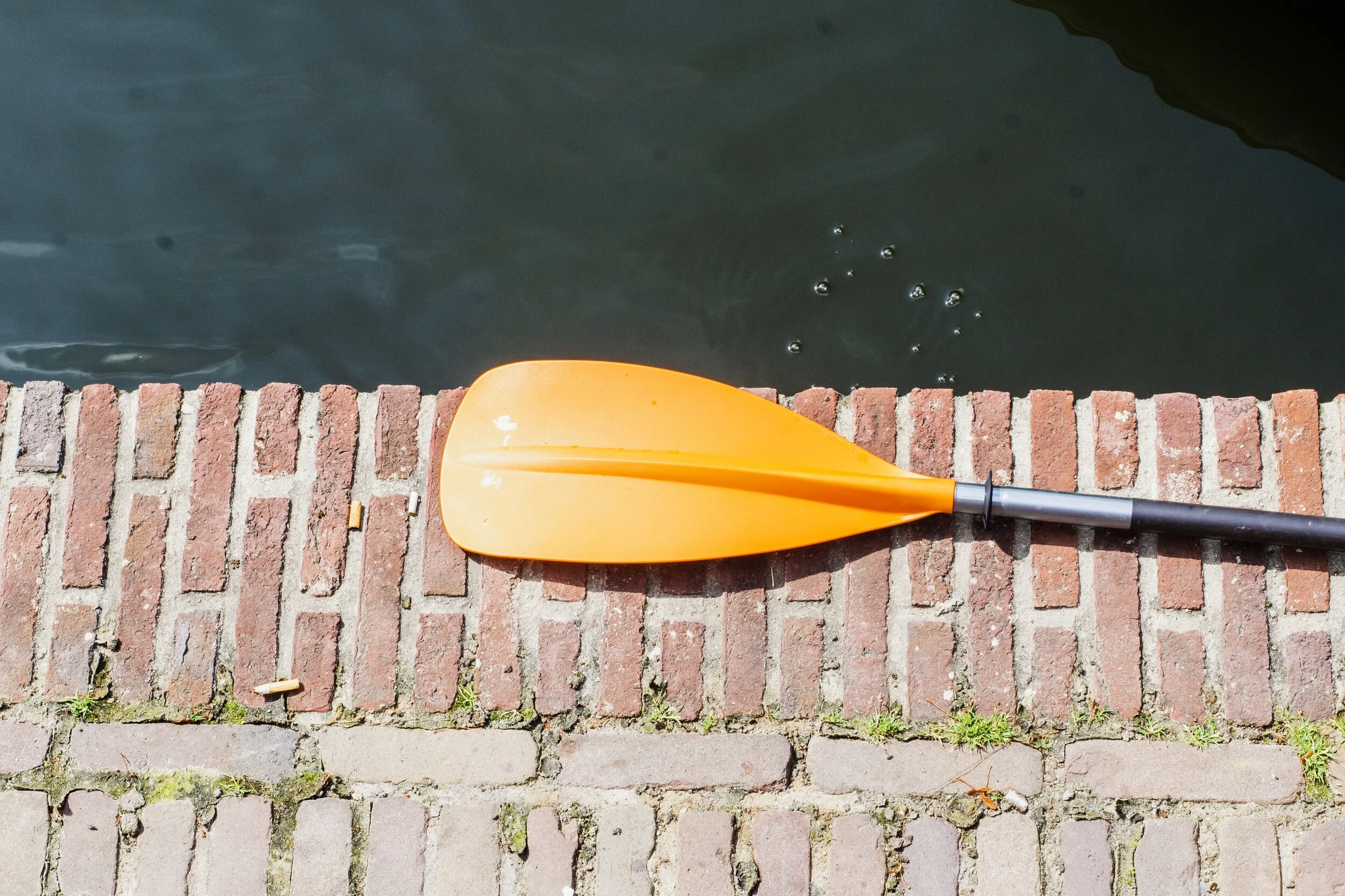 Things to Do — wcedc.com