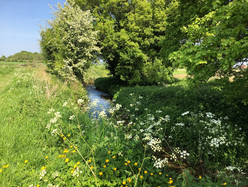 The Little Ace — Walk Tonbridge