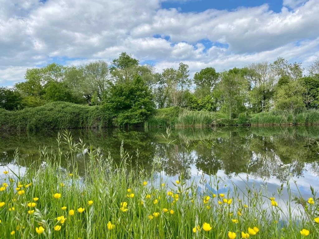 The Little Ace — Walk Tonbridge