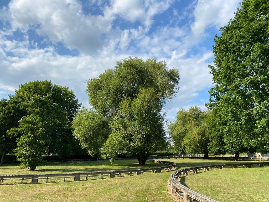 Walk 10: Park Life — Walk Tonbridge