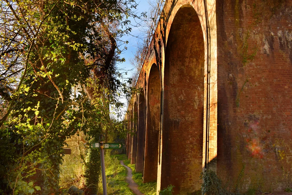 Events — Walk Tonbridge