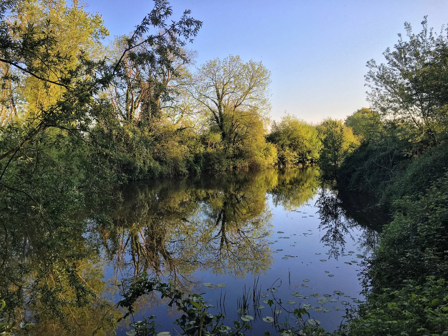 Events — Walk Tonbridge