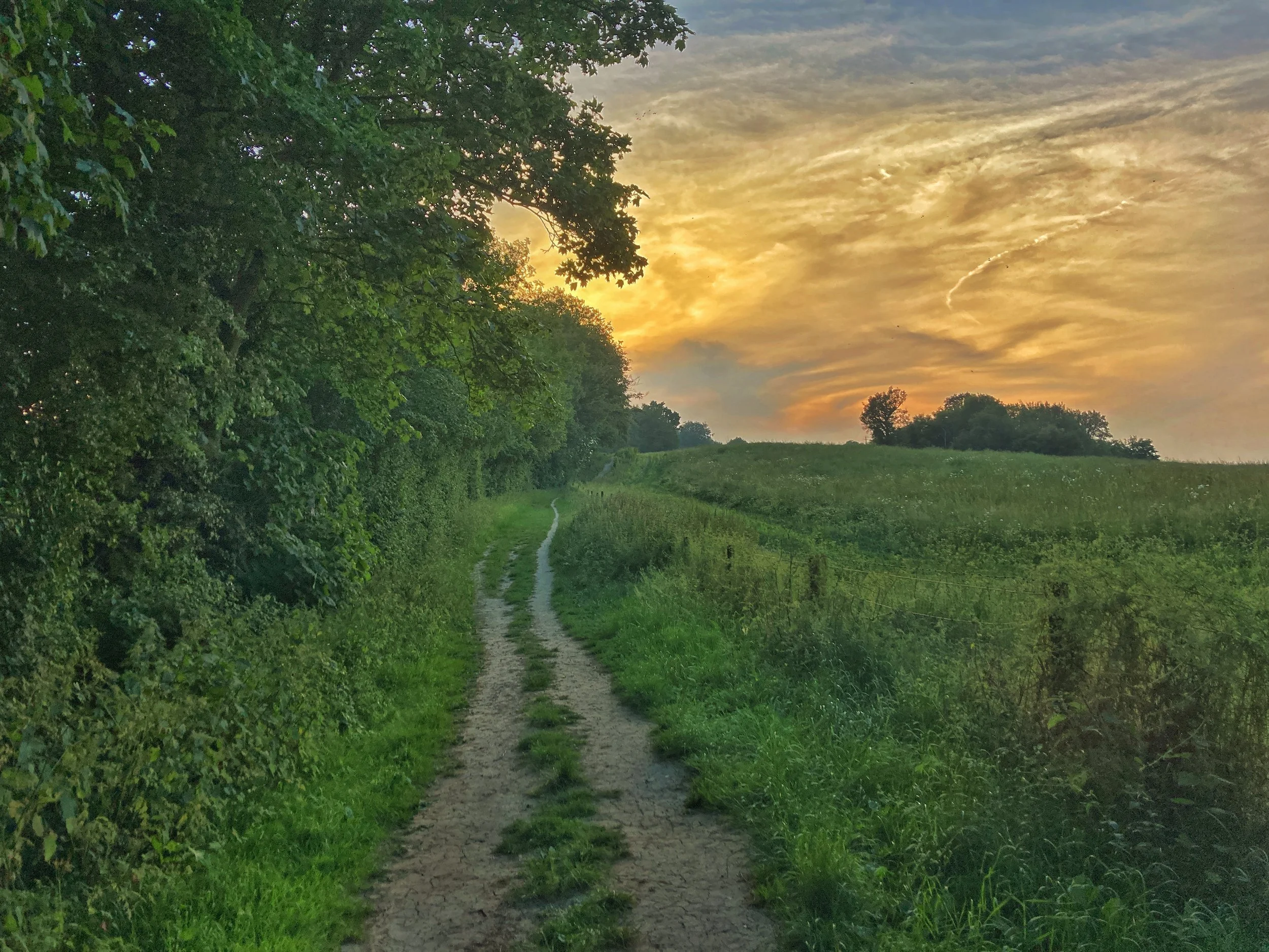 The Sunrise Social — Walk Tonbridge