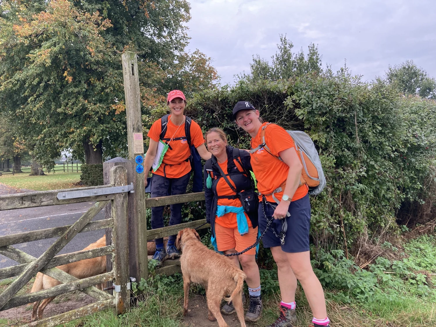 Events — Walk Tonbridge