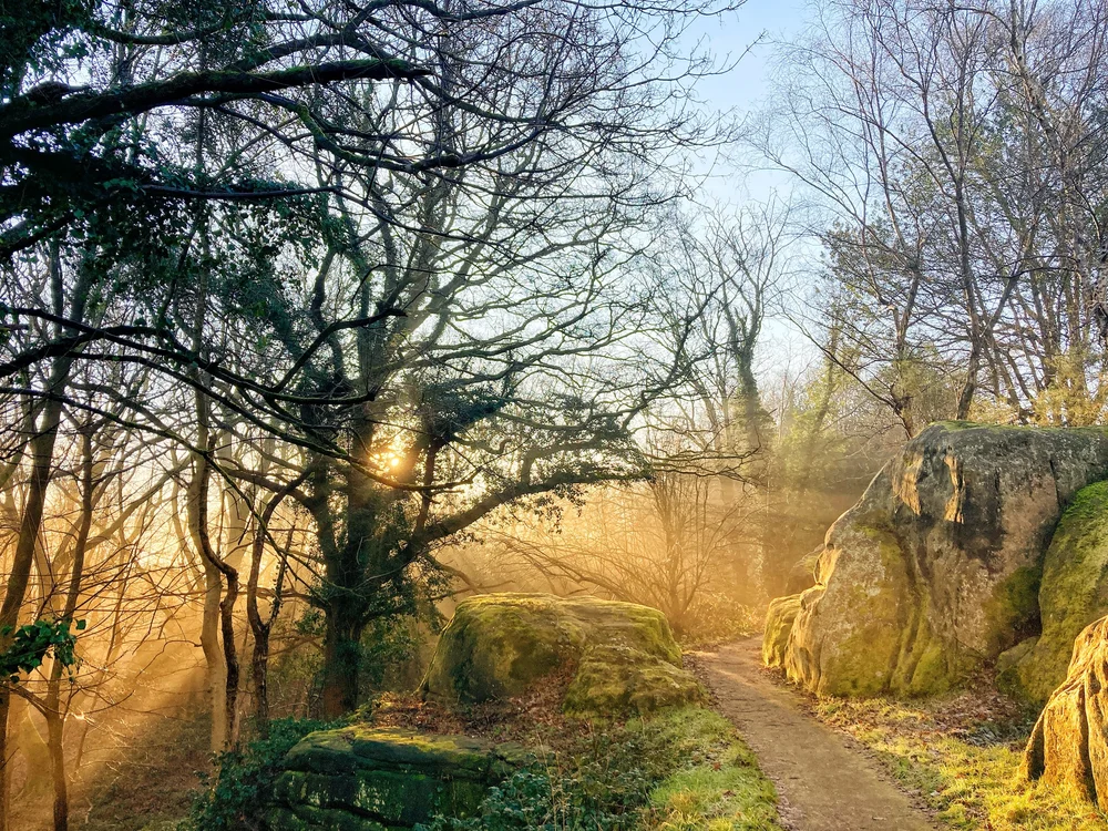 Events — Walk Tonbridge
