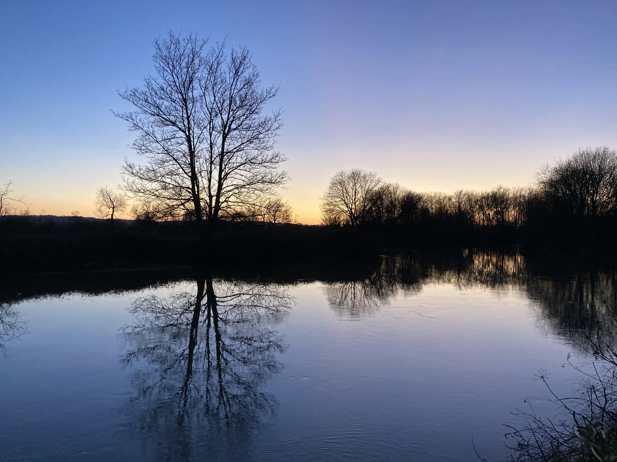 Events — Walk Tonbridge