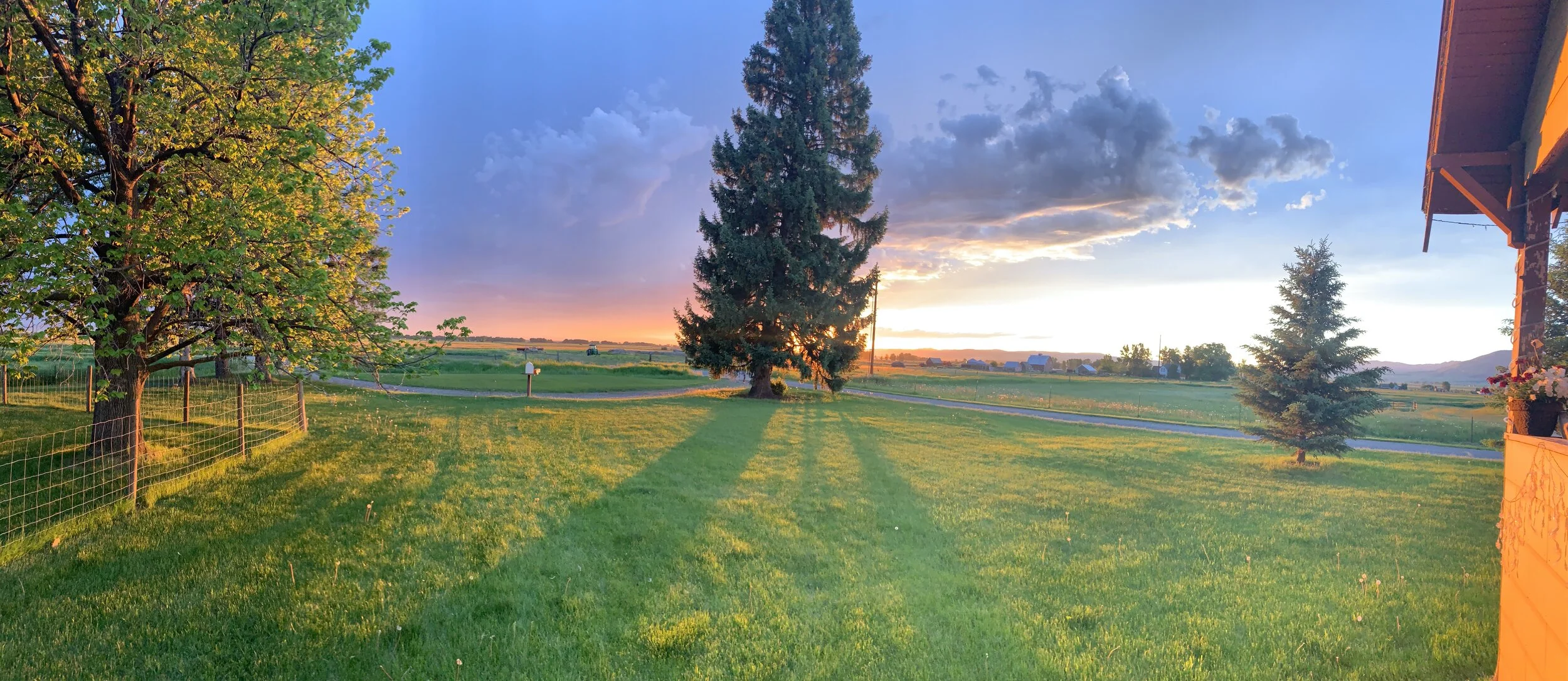 Contact — Star M Barn