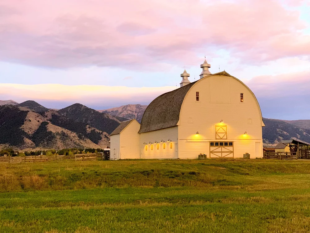 History — Star M Barn